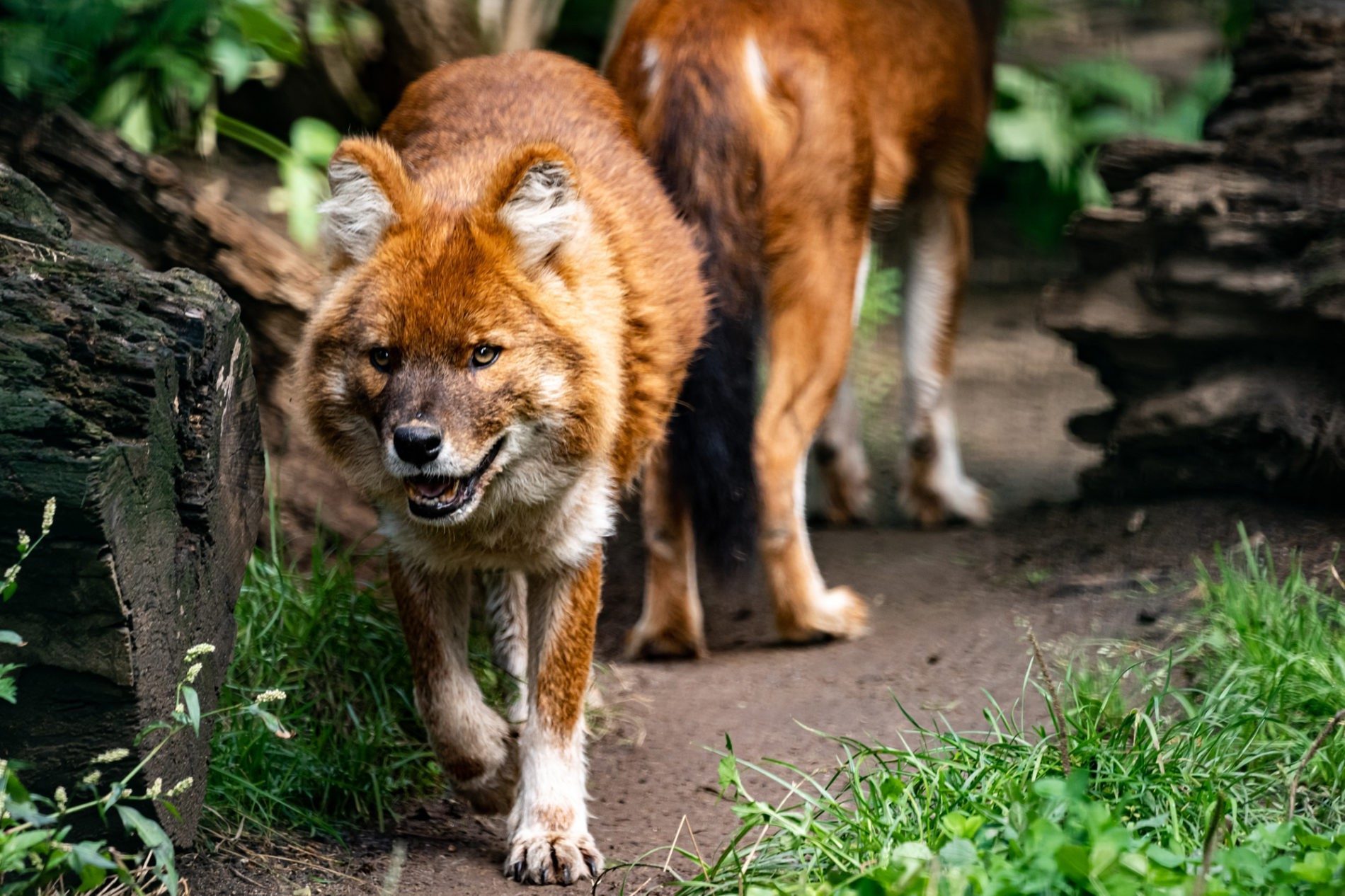 Tipps für Ihren Besuch - Zoo Dresden