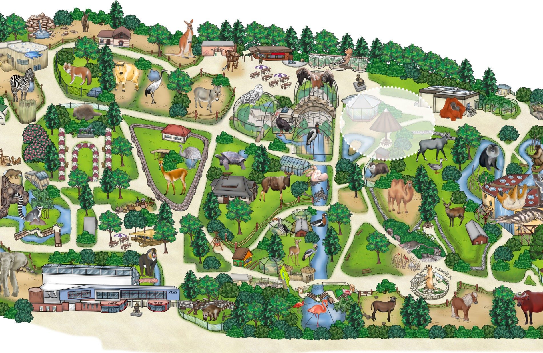 Erwachsene - Zoo Dresden