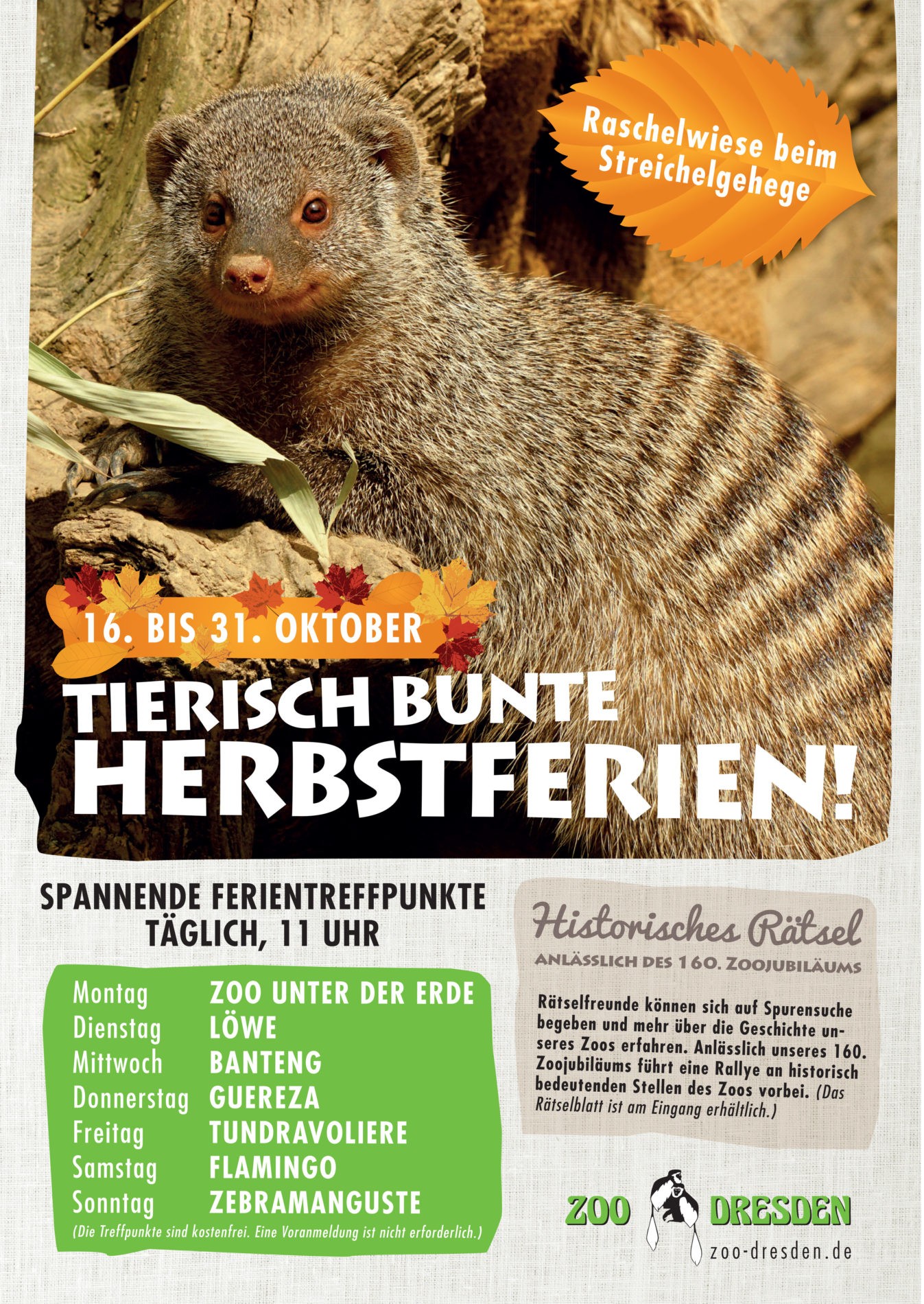 Autumn holidays at the zoo - Zoo Dresden
