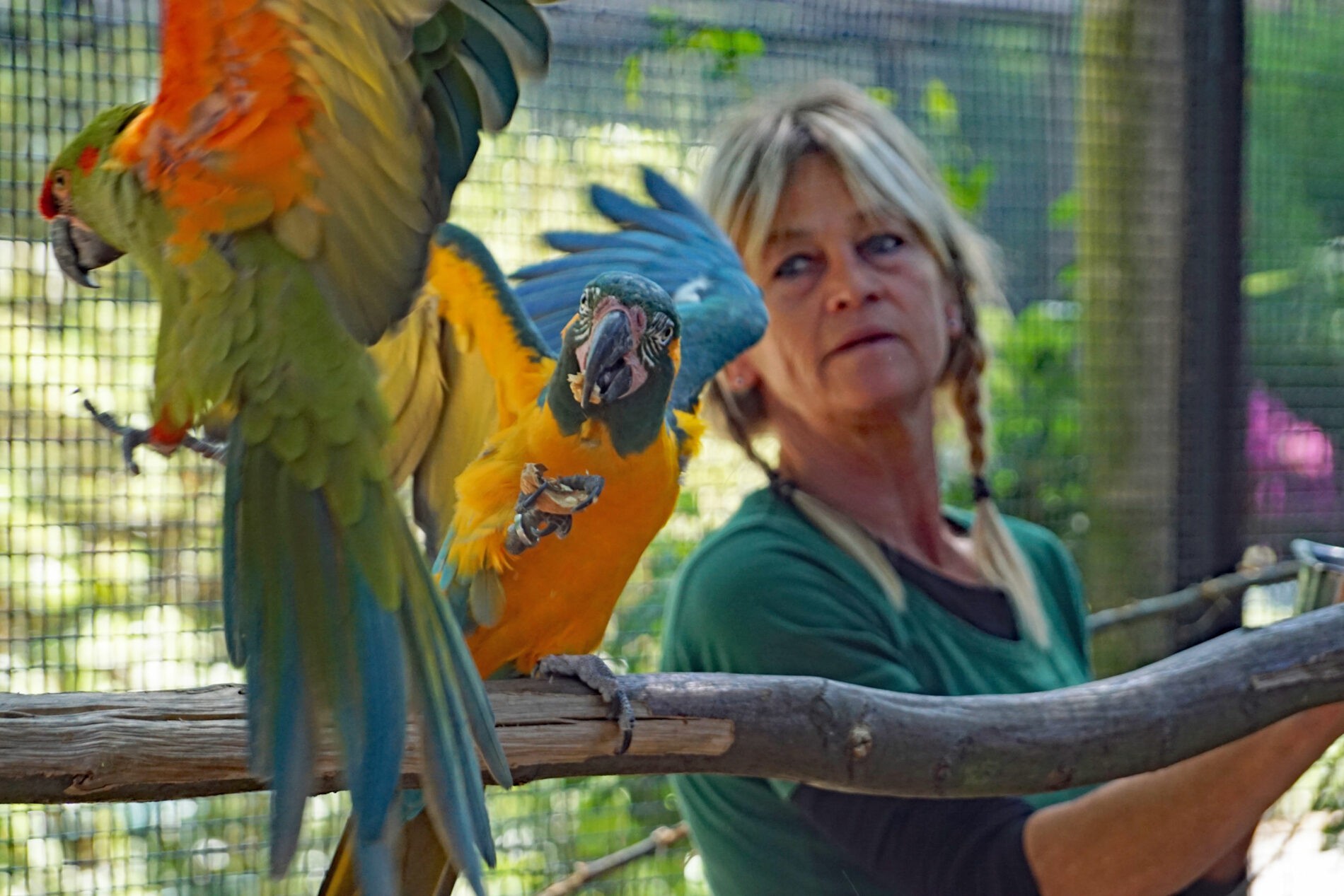 Willkommen im Zoo Dresden | Tierisch was erleben - Zoo Dresden