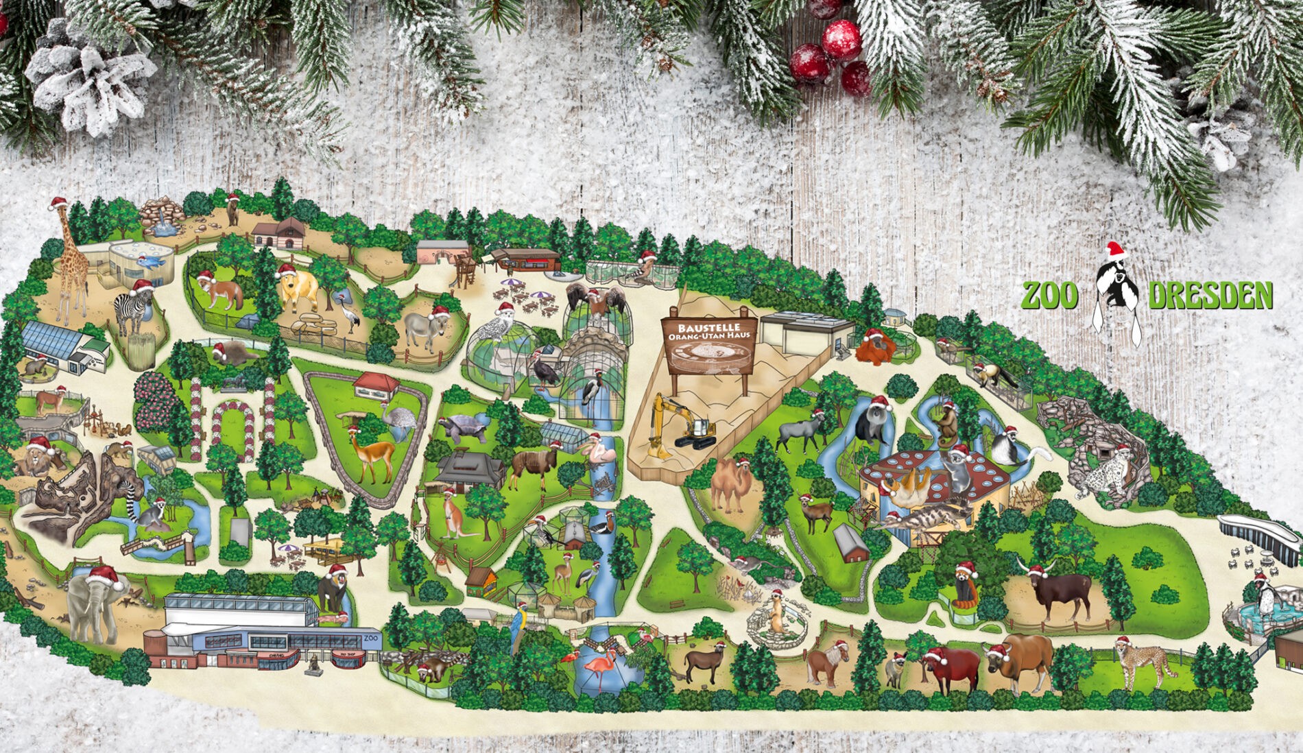 Willkommen im Zoo Dresden | Tierisch was erleben - Zoo Dresden