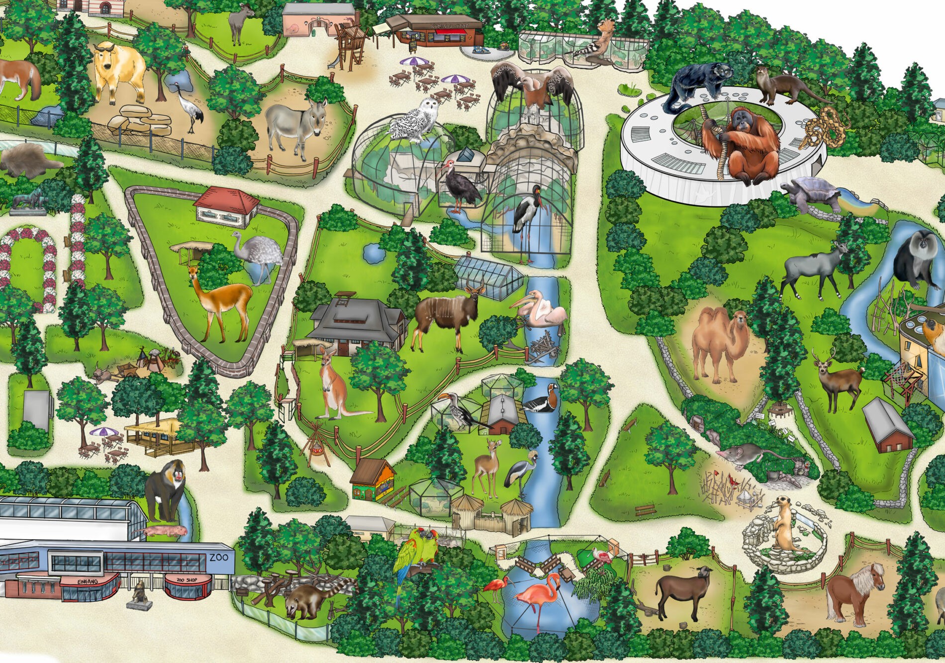 Gastronomie & Zoo-Shop - Zoo Dresden